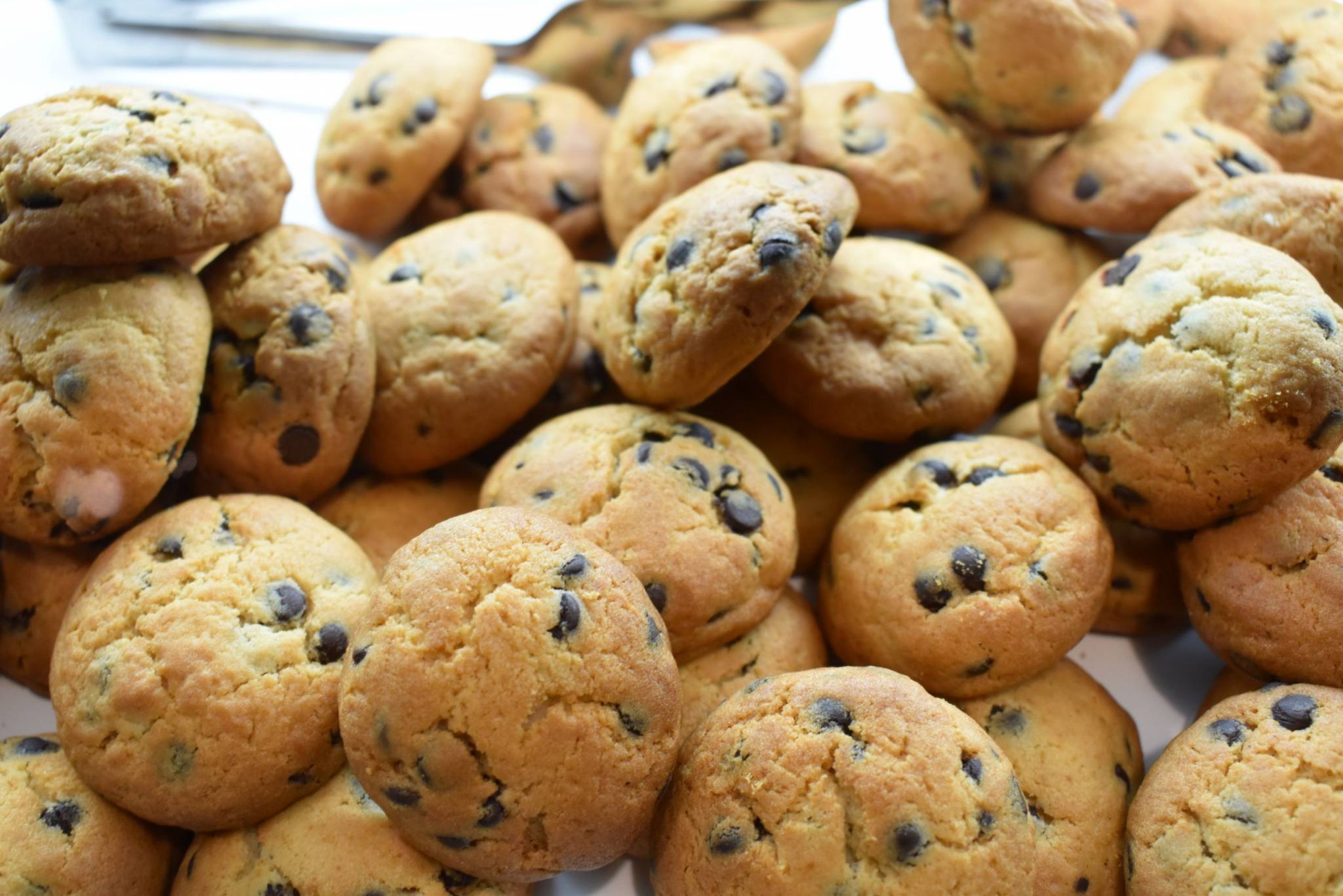 Evästeiden hallinta hoituu Cookiebotilla | Hion